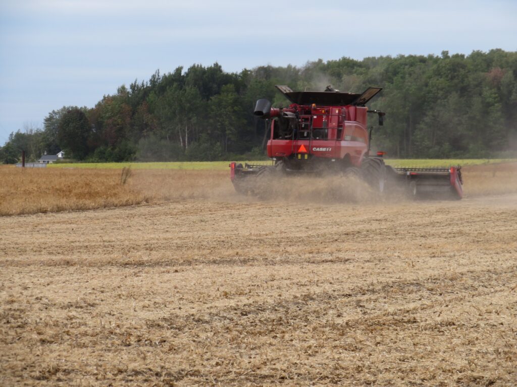 Direct Combining – Dry Bean Agronomy