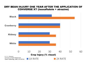 “Bleaching” Herbicide Carryover Injury in Dry Beans – Dry Bean Agronomy
